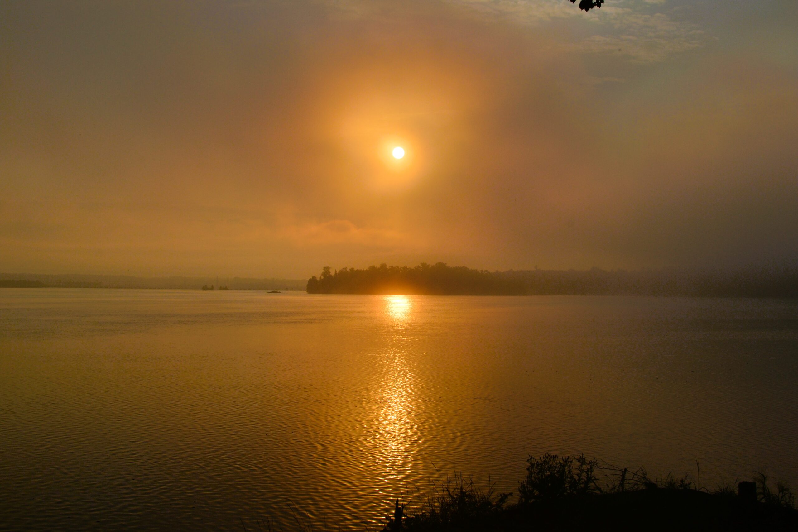 About - Divorce Doctor